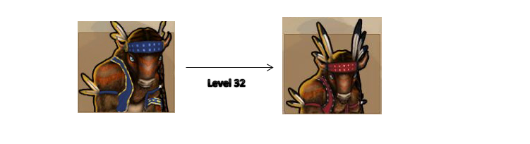 Illustrated Guide to Companion Promotions :: Pirate101 Forum and ...
